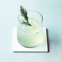 Scandi Cocktails - Issy Oakes
